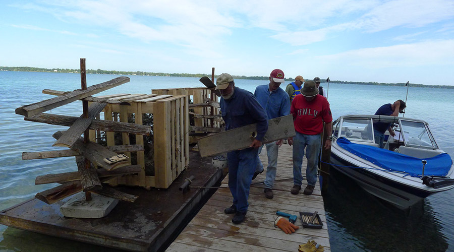 Fish Shelter Project Overview | Elk-Skegemog Lakes Association
